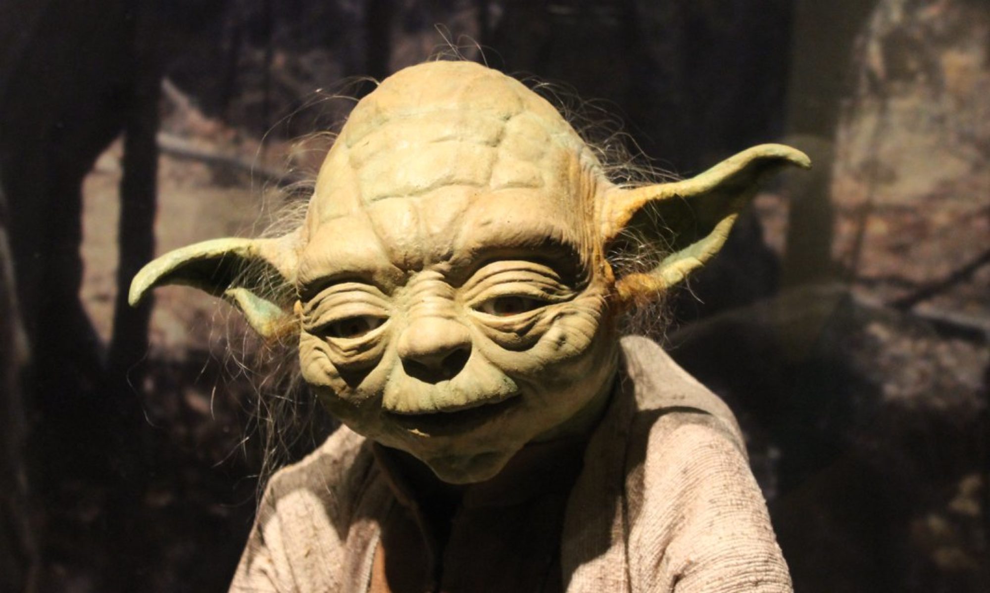 Detroit Lions remembering OT/OG Scott Conover – The District